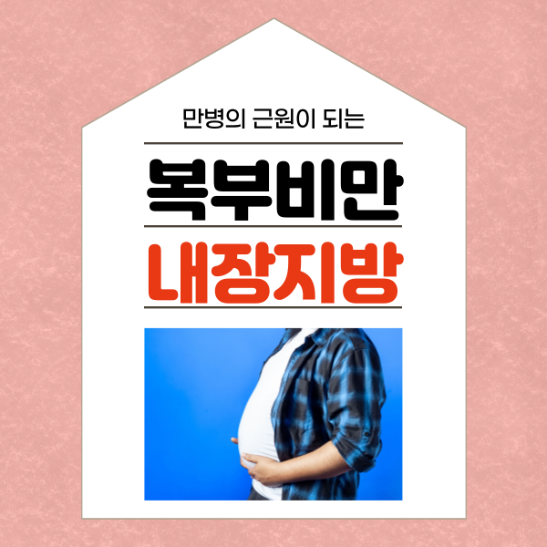내장지방 반드시 빼야하는 이유 진단 예방법 허리둘레수치는 네이버 블로그