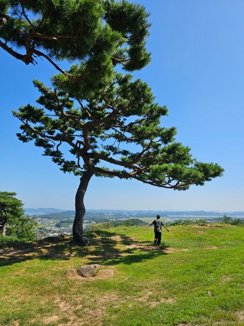 강화도 가볼만한곳 전등사 숨겨진 산책로를 품은 볼거리가 많은 사찰 여행 네이버 블로그