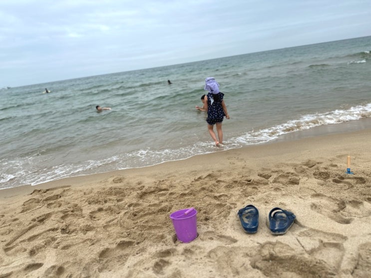 양양 중광정해수욕장 초가을아이랑놀기좋은해변 조개잡기좋은해변 아이랑바다 네이버 블로그