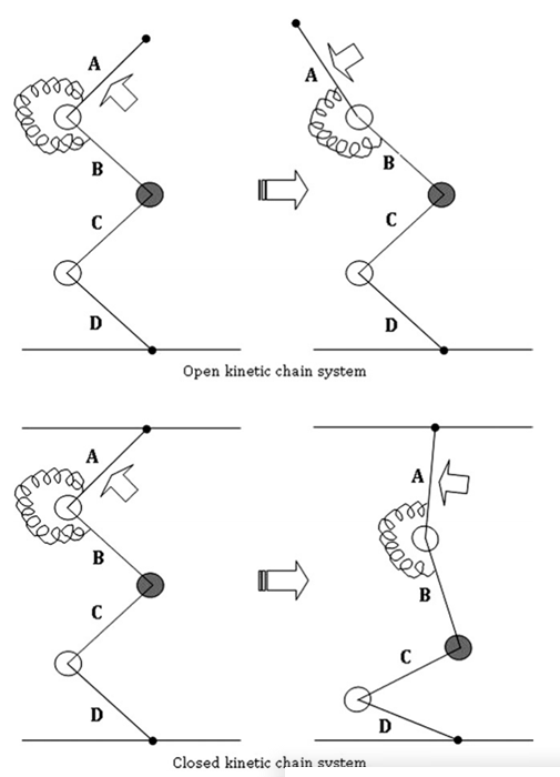 Kinetic Chains: A Review of the Concept and Its Clinical Applications ...