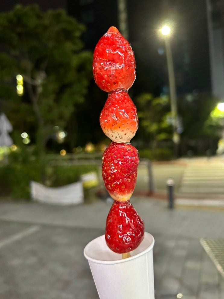 [내돈내산] 마곡 탕후루 후기 / 달방탕후루 본점 vs 판다탕후루 마곡역점 : 네이버 블로그