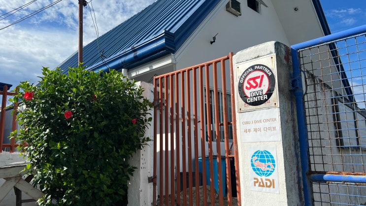 세부에서 스쿠버다이빙 오픈워터 자격증 이틀만에 따기! (Feat.내돈내산) : 네이버 블로그