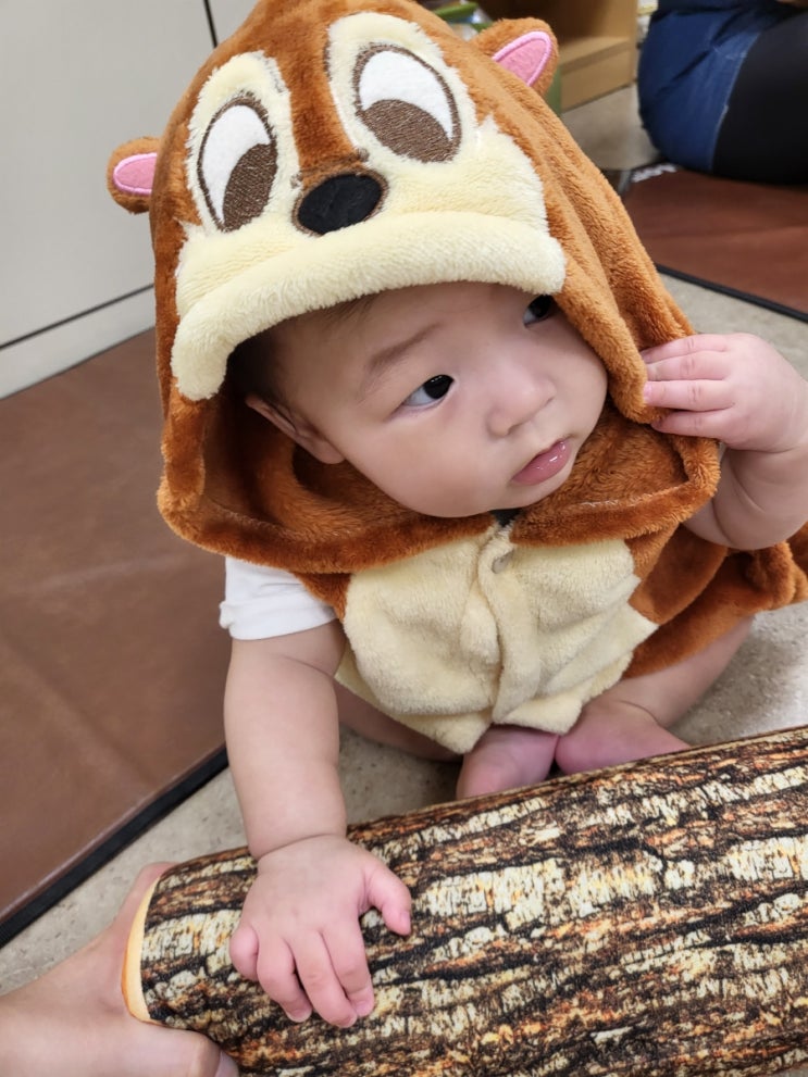 부산 사상 홈플러스문화센터 풀잎아이 가을다람쥐 네이버 블로그