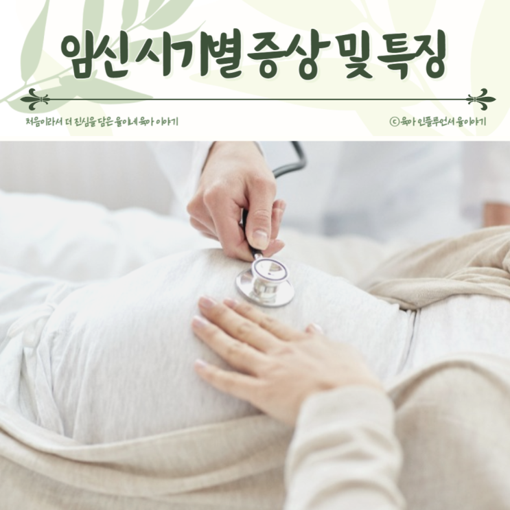 임신 초기 중기 후기 만삭 증상 시기 별 특징 알아보기 네이버 블로그