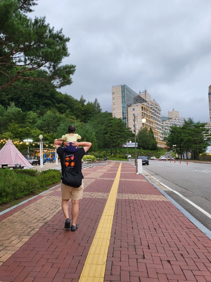 32개월 아기랑 여행 강원도 여행 평창 휘닉스 파크 워터파크 블루캐니언 대관령 한우 한화리조트점 네이버 블로그