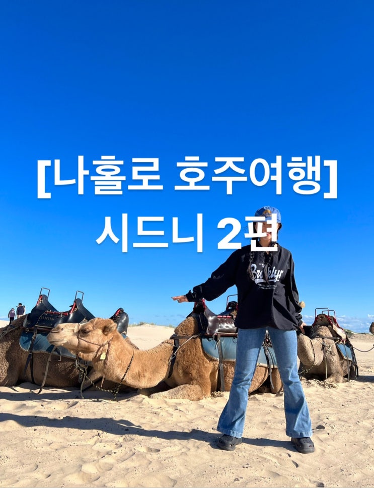 여자혼자 호주여행 시드니 2편 포트스테판 투어 넬슨베이 네이버 블로그