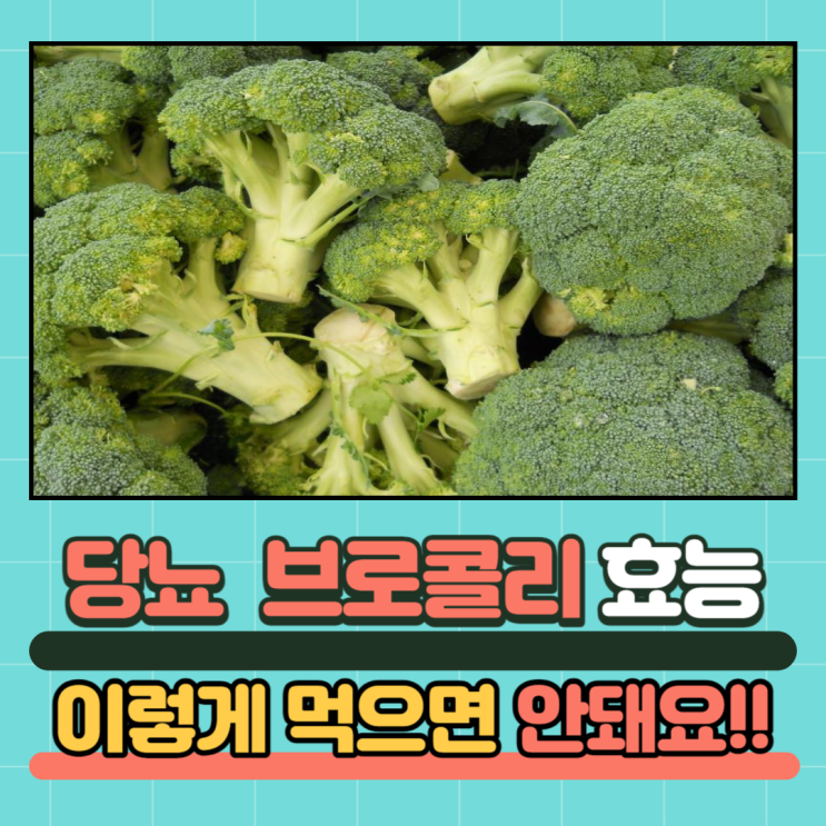 당뇨 환자에게 미치는 브로콜리 효능과 부작용 섭취방법데치기 Vs 찌기 네이버 블로그