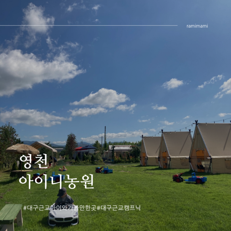 대구 근교 경북 아이와 가볼만한곳 영천 아이니농원 팜크닉동 이용후기 사과 샤인머스켓 고구마 체험가능 네이버 블로그