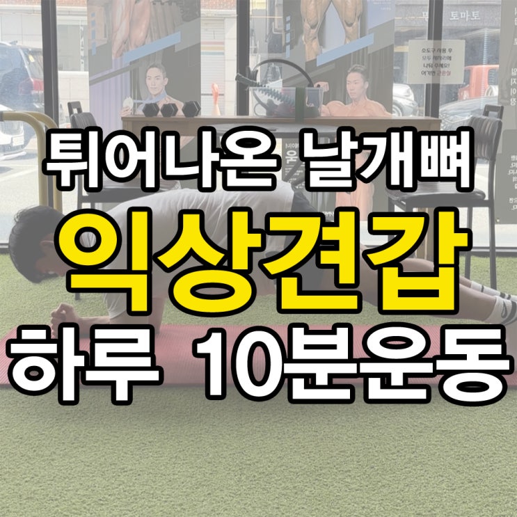 [연산동피티]튀어나온 날개뼈 익상견갑 교정운동 : 네이버 블로그