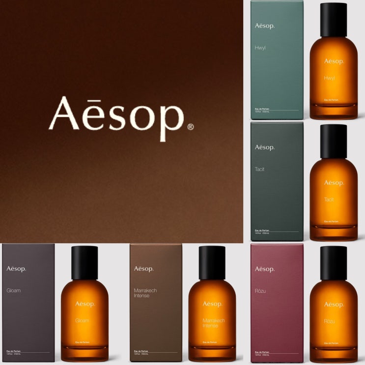 이솝 Aesop 향수 퍼퓸 휠 테싯 로즈 남자 여자 향수 종류 가격 시향 지속력 신상 글롬 네이버 블로그