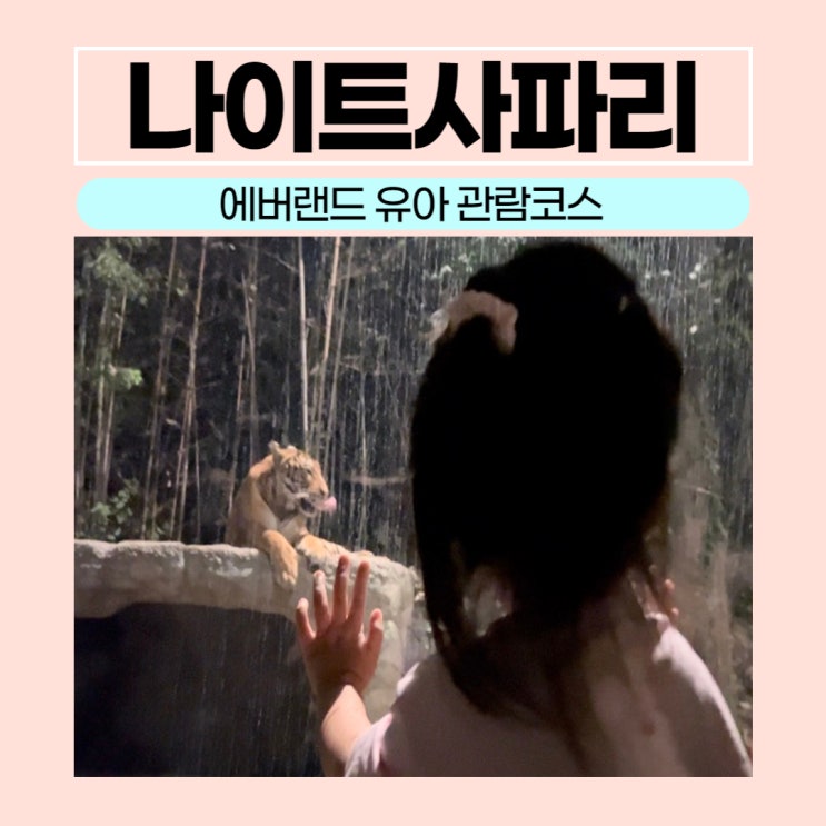 에버랜드 나이트 사파리투어 좌석 팁 및 관람시간 추천 36개월미만 무료 네이버 블로그