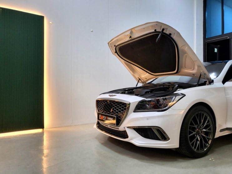 제네시스 G80 3.3T [ 터보 출력 ECU맵핑 ] 울산 방문 + 진동 떨림 해결 : 네이버 블로그