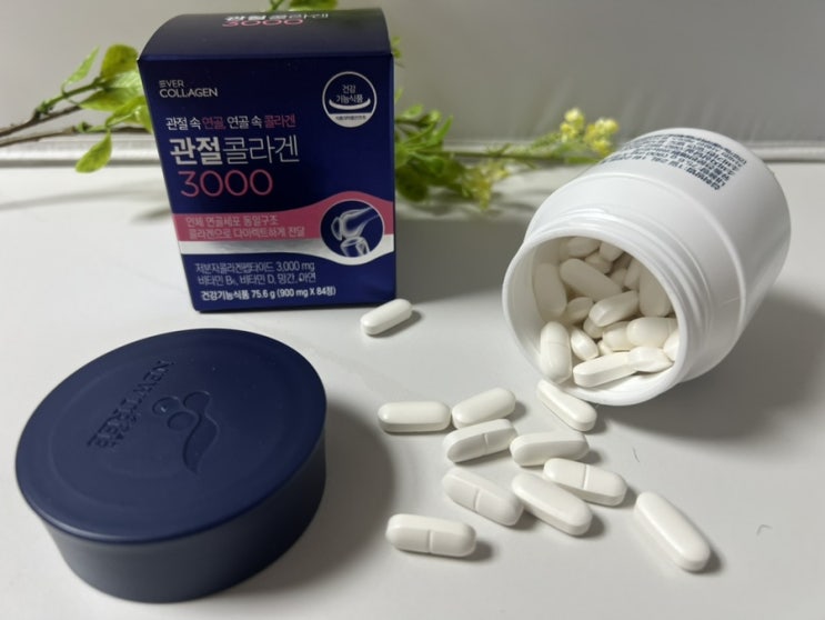 무릎 관절에 좋은 음식 무릎연골 건강기능식품 에버콜라겐 관절 콜라겐 3000 네이버 블로그