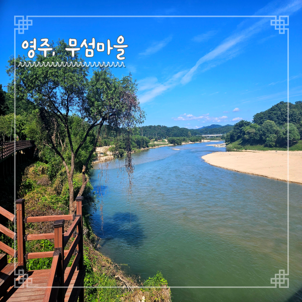 무섬마을 외나무다리 영주 가볼만한 곳 가는 법 주차 정보 네이버 블로그