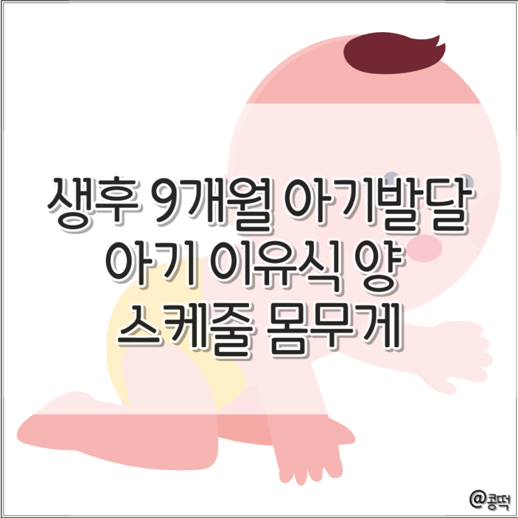 생후 9개월 아기 발달 아기 이유식 양 스케줄 몸무게 네이버 블로그