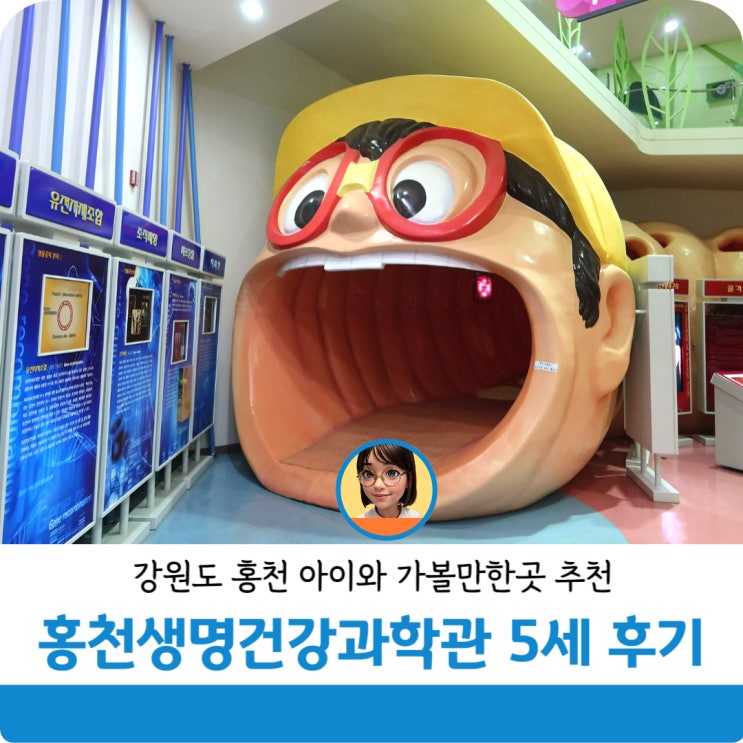 강원도 홍천 아이와 가볼만한곳 추천 실내놀이터 홍천생명건강과학관 네이버 블로그