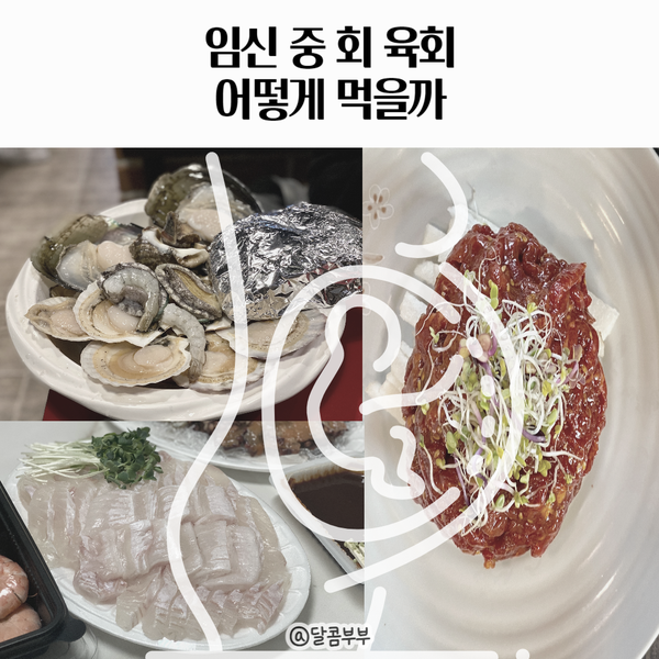 임산부 회 육회 임신 중 조심 해야 될 음식 네이버 블로그