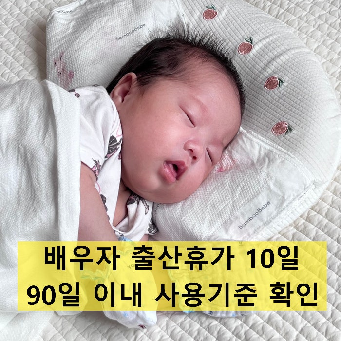 고용노동부 질의 답변 배우자 출산휴가 10일 사용 기준은 시작시점일까 종료시점일까 네이버 블로그