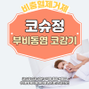 코슈정 효과 성분 부작용 졸음 복용법 비충혈제거제 부비동염 치료 코 감기약 네이버 블로그