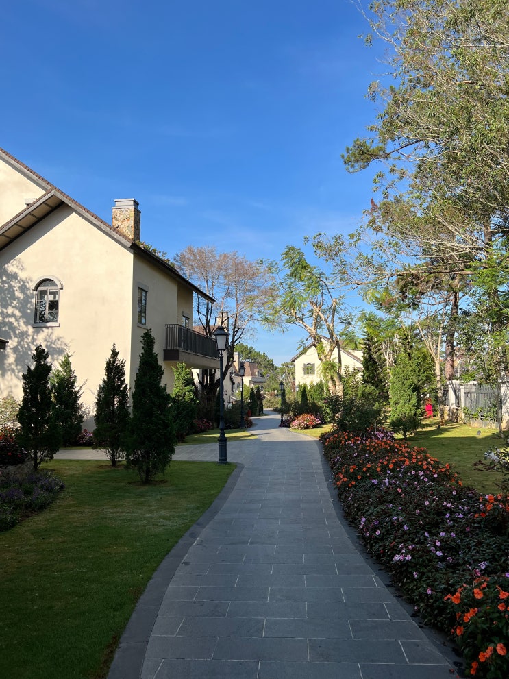 톡파원 25시에 나온 베트남 달랏의 프랑스 감성 호텔 머큐어 달랏 리조트(Mercure Dalat Resort) : 네이버 블로그