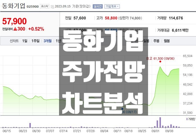 동화기업 주가 전망 2차전지 전해액 관련주 대장주 네이버 블로그