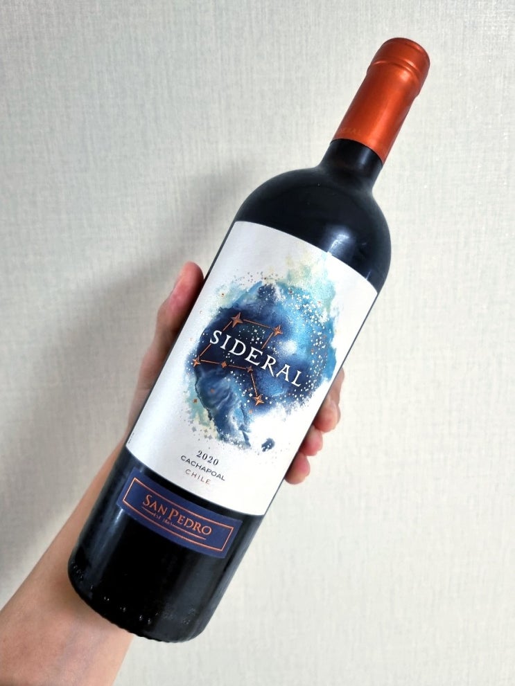👌비냐 산 페드로, 시데랄 2020 (Vina San Pedro, Sideral 2020) : 네이버 블로그