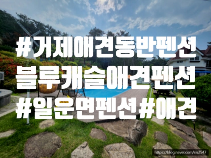 거제 애견동반펜션 거제 애견 펜션 전 객실 오션뷰 소형견 대형견 모두 가능한 블루캐슬애견펜션 : 네이버 블로그