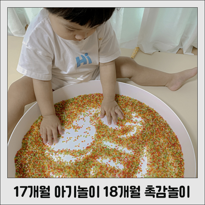 17개월 아기놀이 18개월 유아 놀이트레이 촉감놀이 네이버 블로그