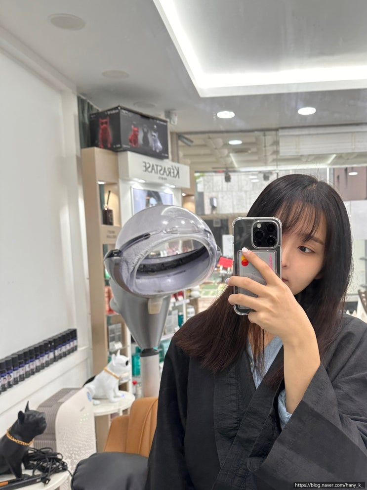 인덕원 미용실 동편마을 미용실 살롱 엘리에셀 서연쌤께 클리닉 받은 후기 네이버 블로그