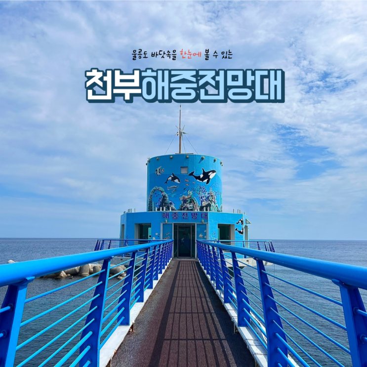 울릉도 바닷속을 한눈에 볼 수 있는 천부 해중전망대with 울릉도 투어패스 네이버 블로그