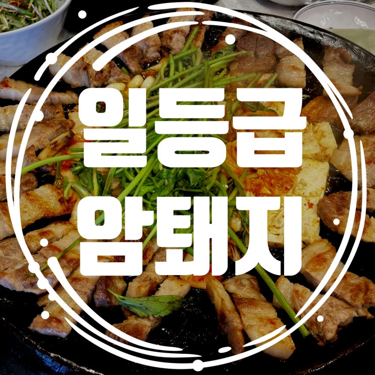 목포 평화광장 고기집 진짜 무쇠 삼겹 암퇘지 먹으러 네이버 블로그