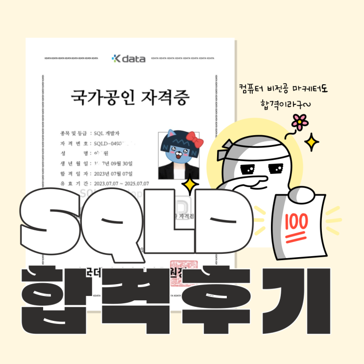 23년 49회 SQLD 개발자 자격증 6시간 당일치기 합격팁(비전공자 공부노하우 공개) : 네이버 블로그