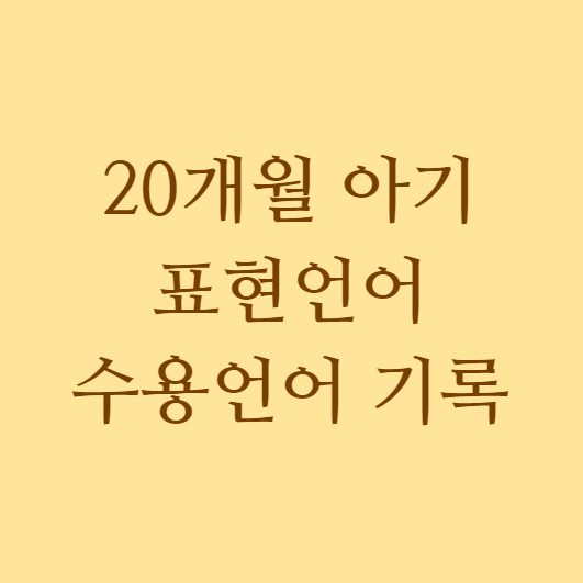 20개월 아기 언어 발달 수용언어 표현언어 기록 네이버 블로그