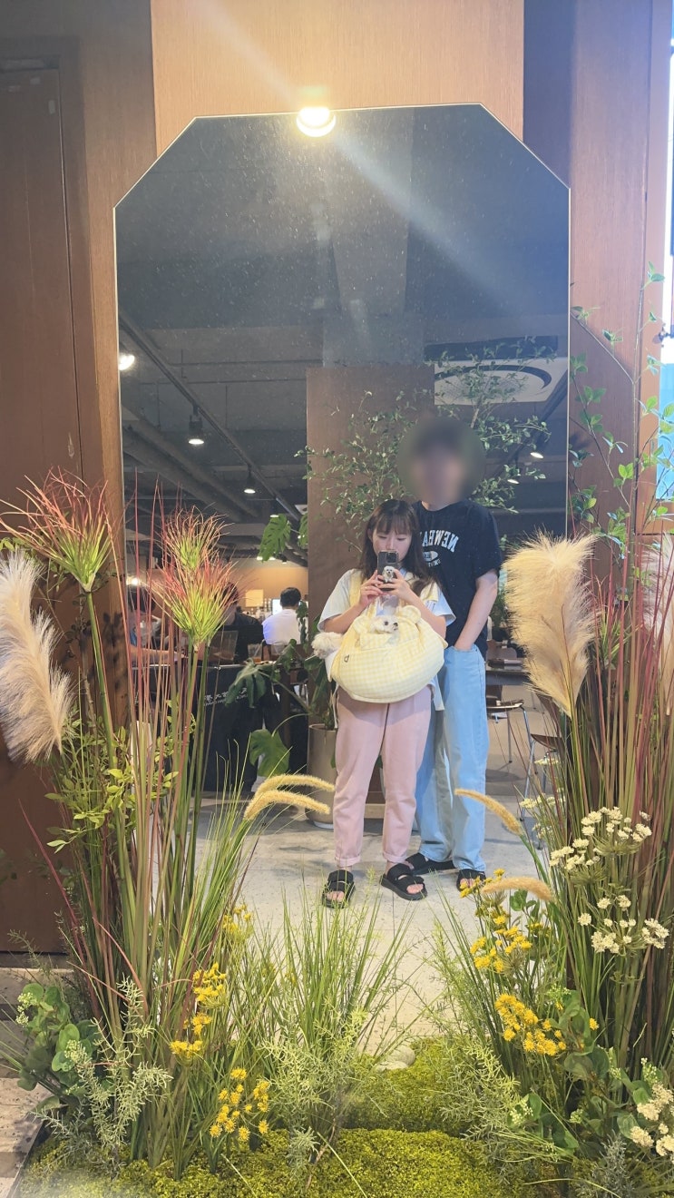 수원 성균관대역 애견동반 카페 자명문 내돈내산 후기 네이버 블로그