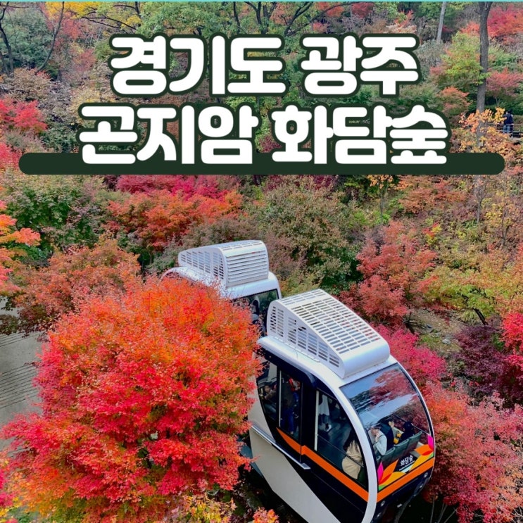 경기도 광주 곤지암 화담숲 모노레일 예약 아기와 가볼만한곳 가을 여행지 추천 네이버 블로그