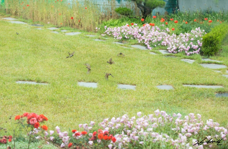 회개하라 천국이 가까이 왔느니라(마3:1-12) : 네이버 블로그