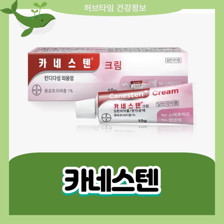카네스텐 연고 크림 무좀 질염 가격 클로트리마졸 네이버 블로그
