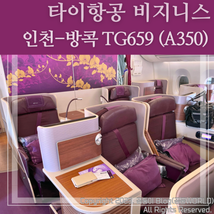 인천에서 방콕 타이항공 비지니스 로얄실크 TG659 A350 좌석 기내식 정보 : 네이버 블로그