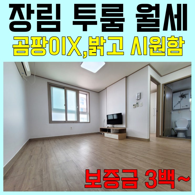 사하구 장림동 투룸 월세 - 곰팡이 없고 밝은 집 : 네이버 블로그