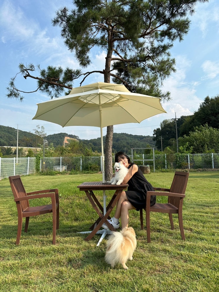 대전 근교 애견 동반 여행 야외 운동장이 있는 청양포포나무 독채펜션 : 네이버 블로그