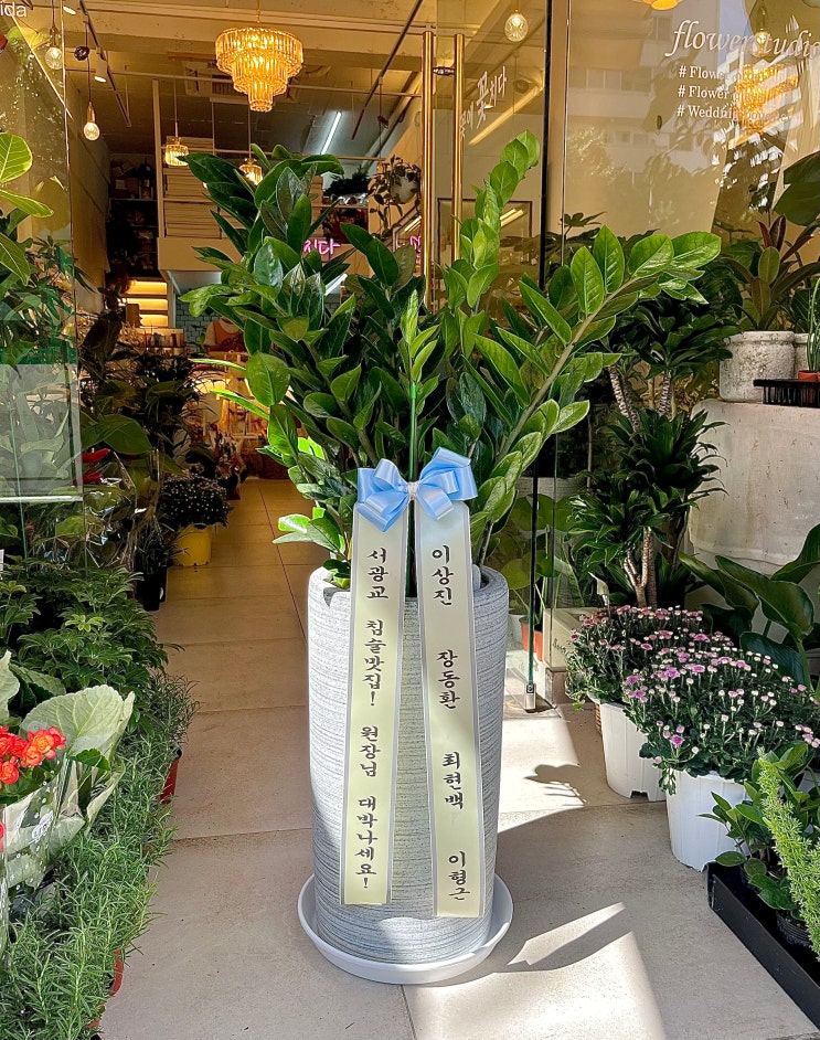 연무동꽃집 꽃치다 광교꽃집 수원개업화분 광교개업화분 승진화분 인계동개업화분 승진난 행궁동화분 네이버 블로그
