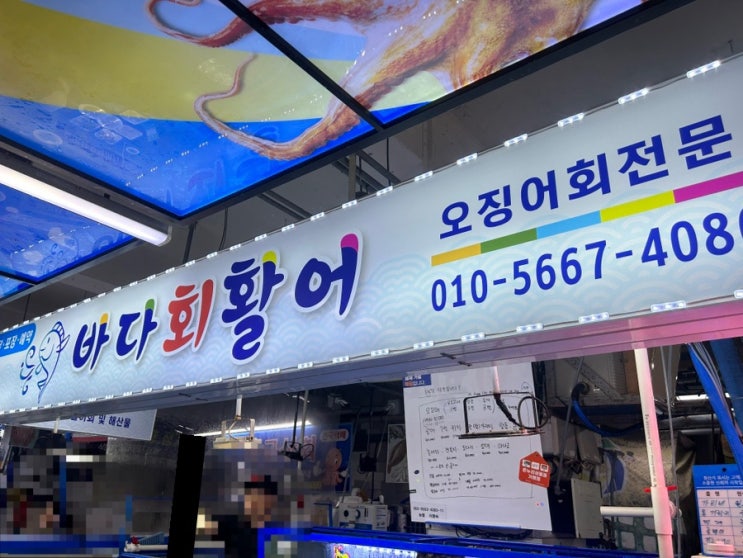 삼척중앙시장횟집 어시장내 바다회활어 회 포장 오징어회 전문 모듬회 세트도다리 쥐치 놀래미 네이버 블로그