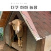 대구 근교 아기랑 가볼만한 곳 먹이 주기 체험 하하농장 네이버 블로그