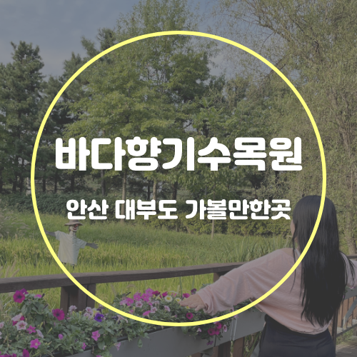 서울근교 경기도 안산 대부도 가볼만한곳 바다향기수목원 무료입장 가을 여행지 놀거리 당일치기 갈만한곳 네이버 블로그