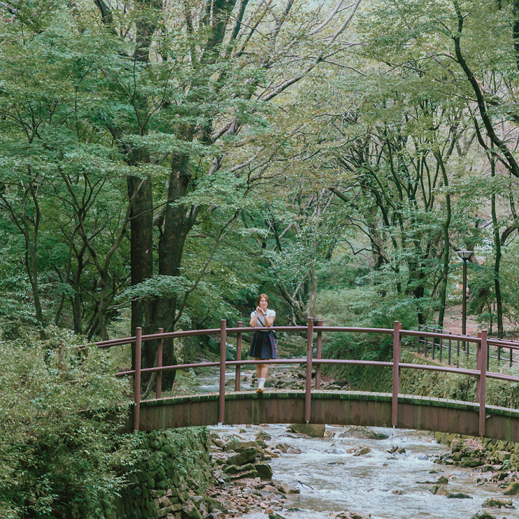 공주 가볼만한곳 동학사 입장료 주차장 계룡산 여행코스 네이버 블로그