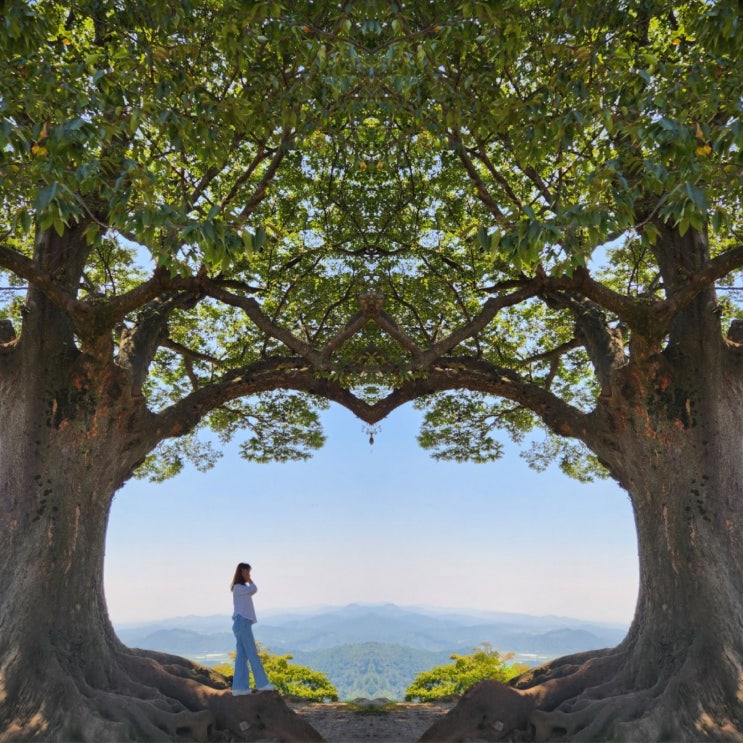 부여 논산당일여행 성흥산성과 선샤인랜드에 다녀왔어요 : 네이버 블로그