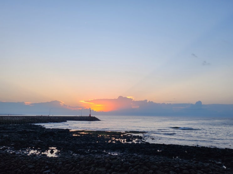 똥백이 윙크(?)하는 새벽산책 : 네이버 블로그