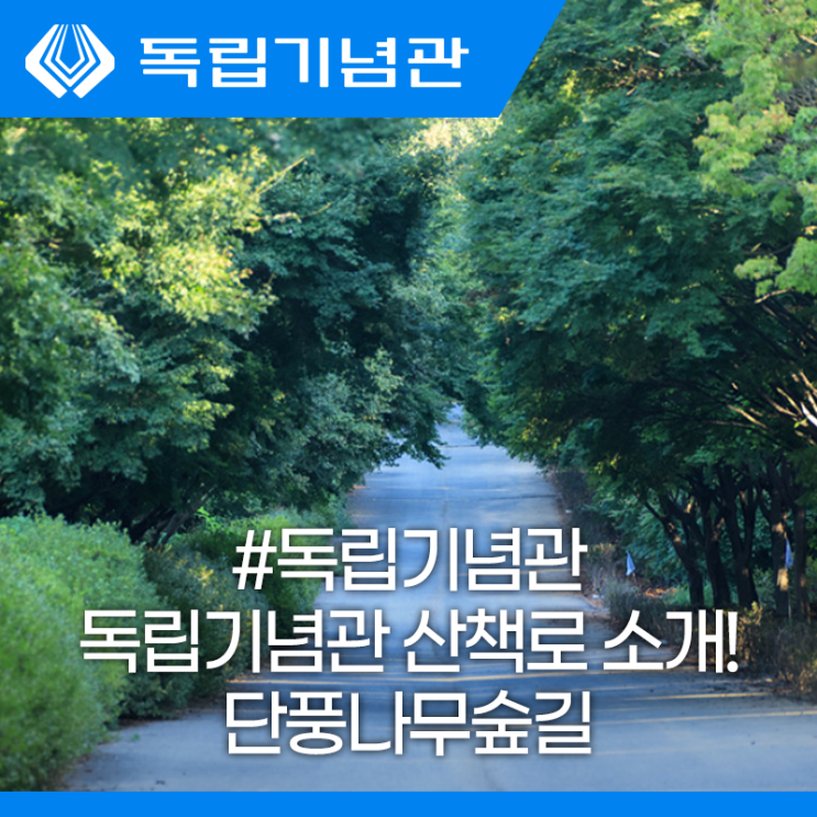 천안가볼만한곳 산책코스 독립기념관 단풍나무숲길 네이버 블로그