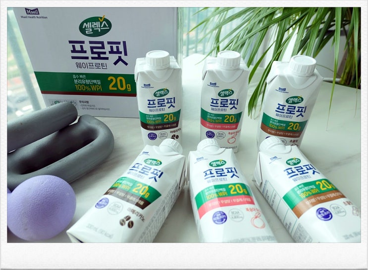 편의점 단백질 음료 비교 후 선택한 셀렉스 프로핏 웨이프로틴 ♩ 네이버 블로그