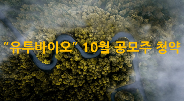 마켓리더 유투바이오의 10월 공모주 청약 일정 및 청약 방법과 Ipo를 통한 코스닥 상장 네이버 블로그